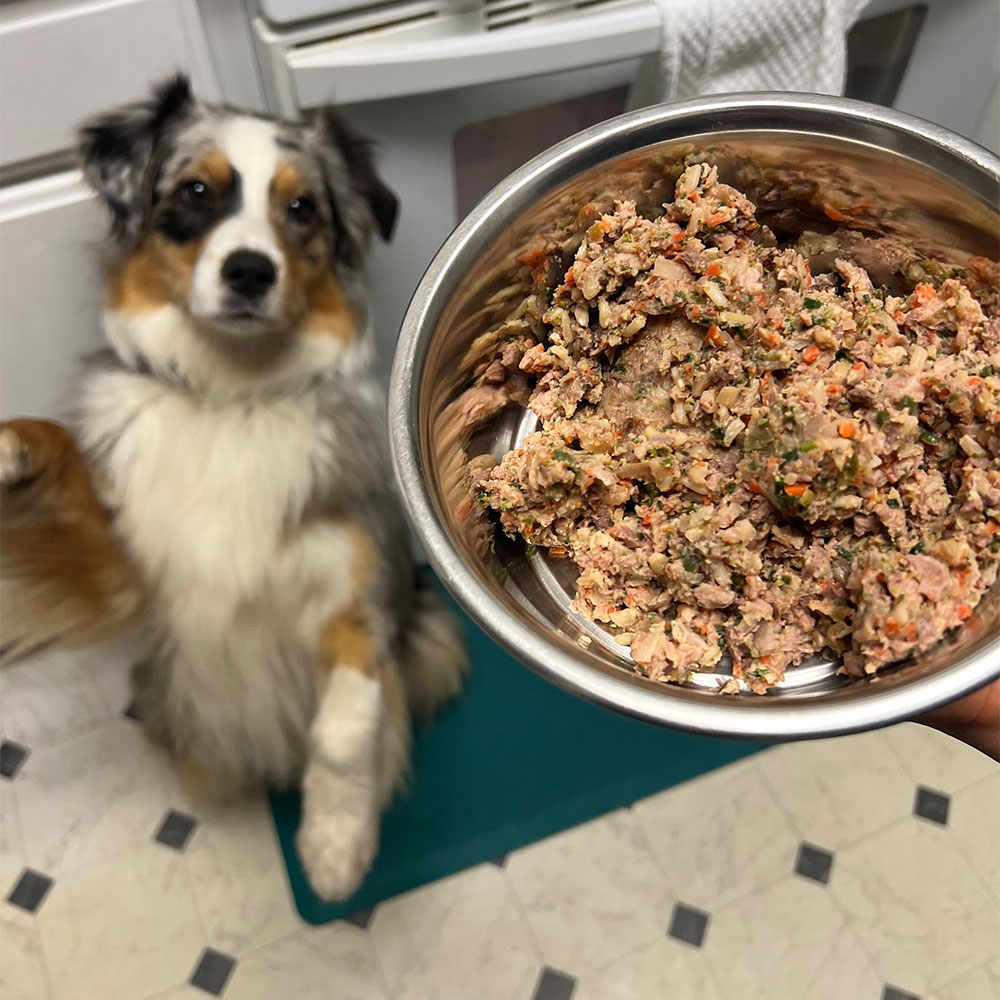 Why Fresh Dog Food is the Best - Good Pup Food Co.
